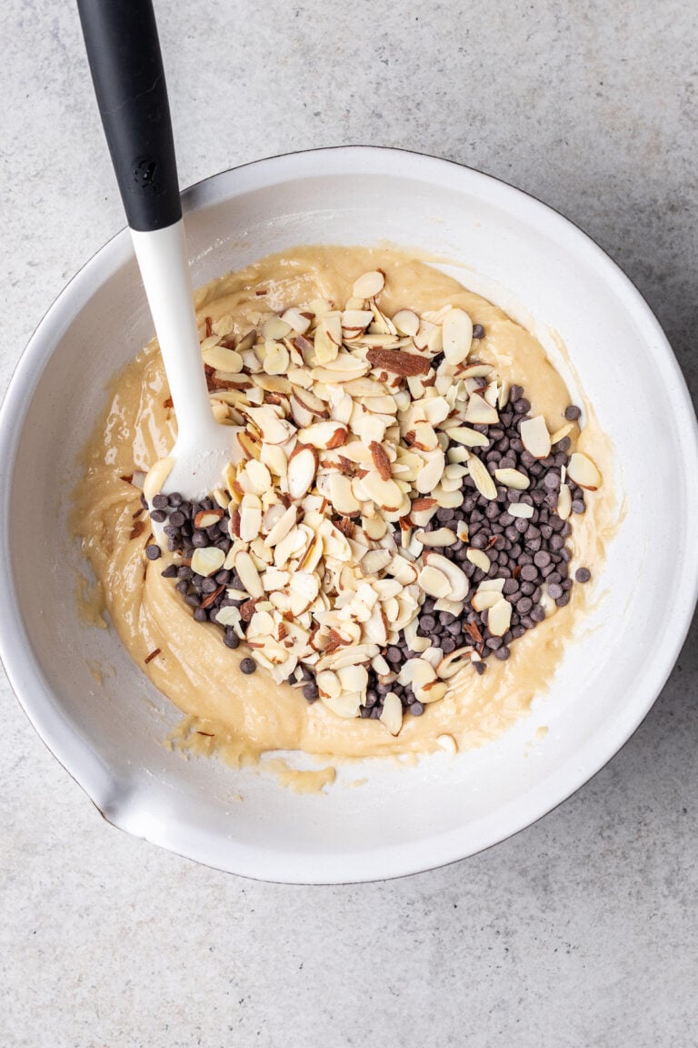 Tender Chocolate Chip Mandel Bread (Jewish Cookies) - Well Seasoned Studio