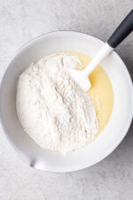 Tender Chocolate Chip Mandel Bread (Jewish Cookies) - Well Seasoned Studio