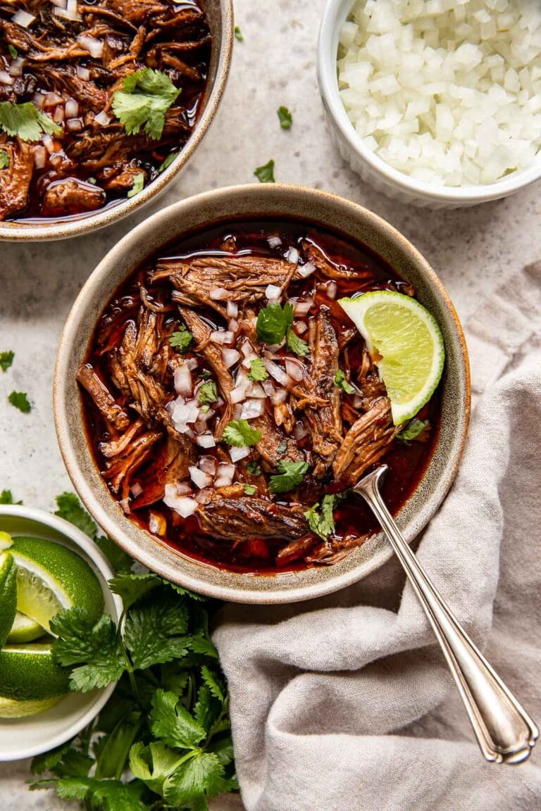 Birria de Res (Tender Braised Beef Birria) - Well Seasoned Studio