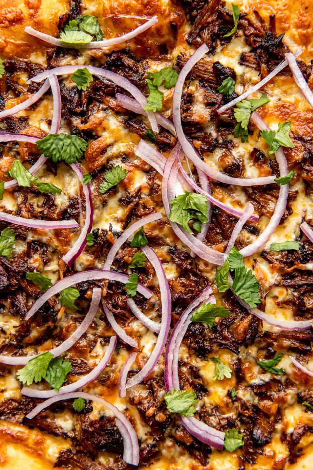 Crispy Oven-Baked Birria Pizza - Well Seasoned Studio
