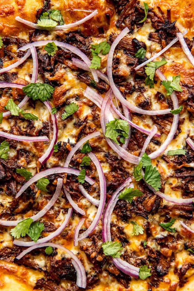 Crispy Oven-Baked Birria Pizza - Well Seasoned Studio