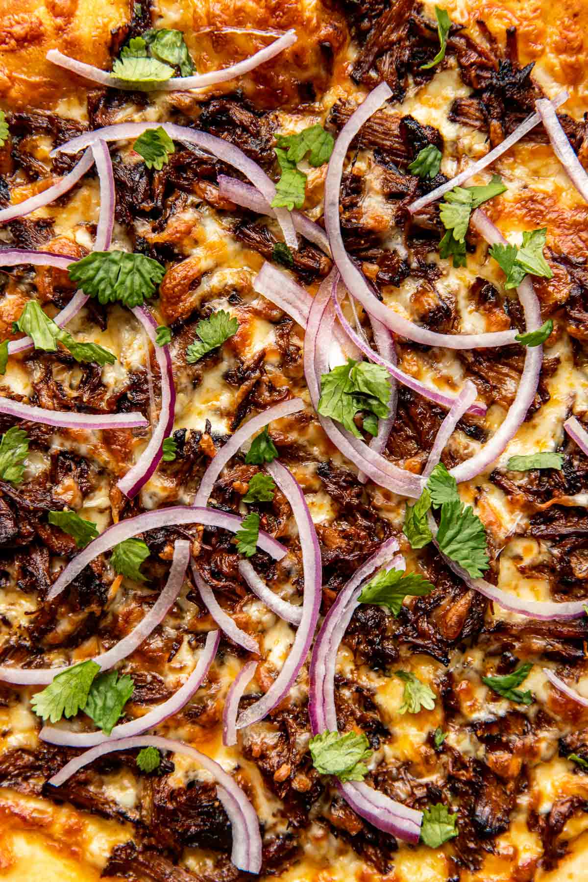 Crispy Oven-Baked Birria Pizza - Well Seasoned Studio