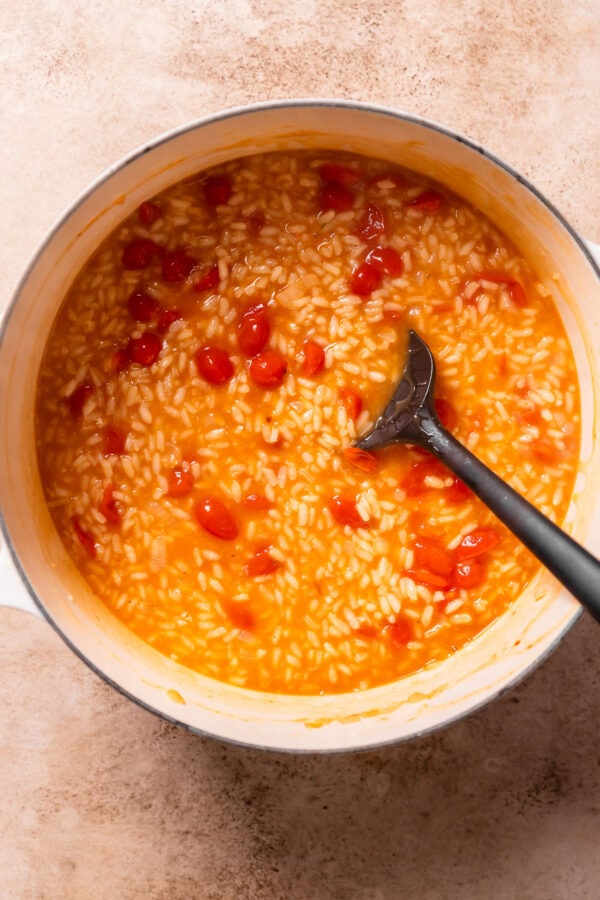 Creamy Shrimp Risotto with Tomatoes And Feta - Well Seasoned Studio