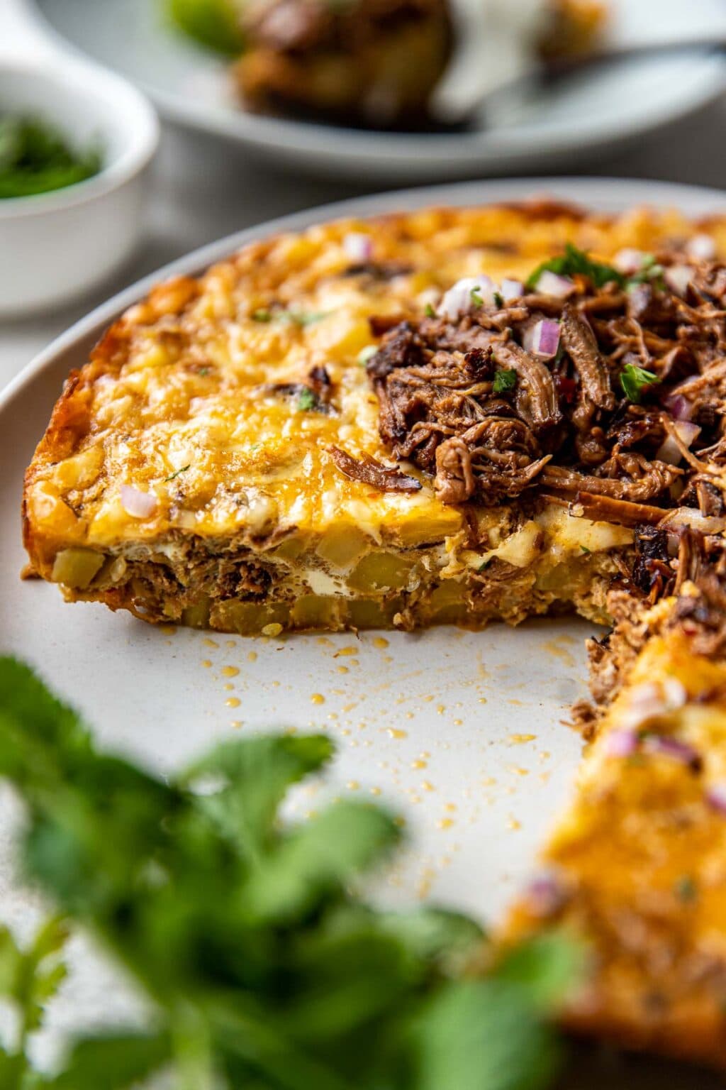 Birria Frittata (For Leftover Birria de Res) - Well Seasoned Studio