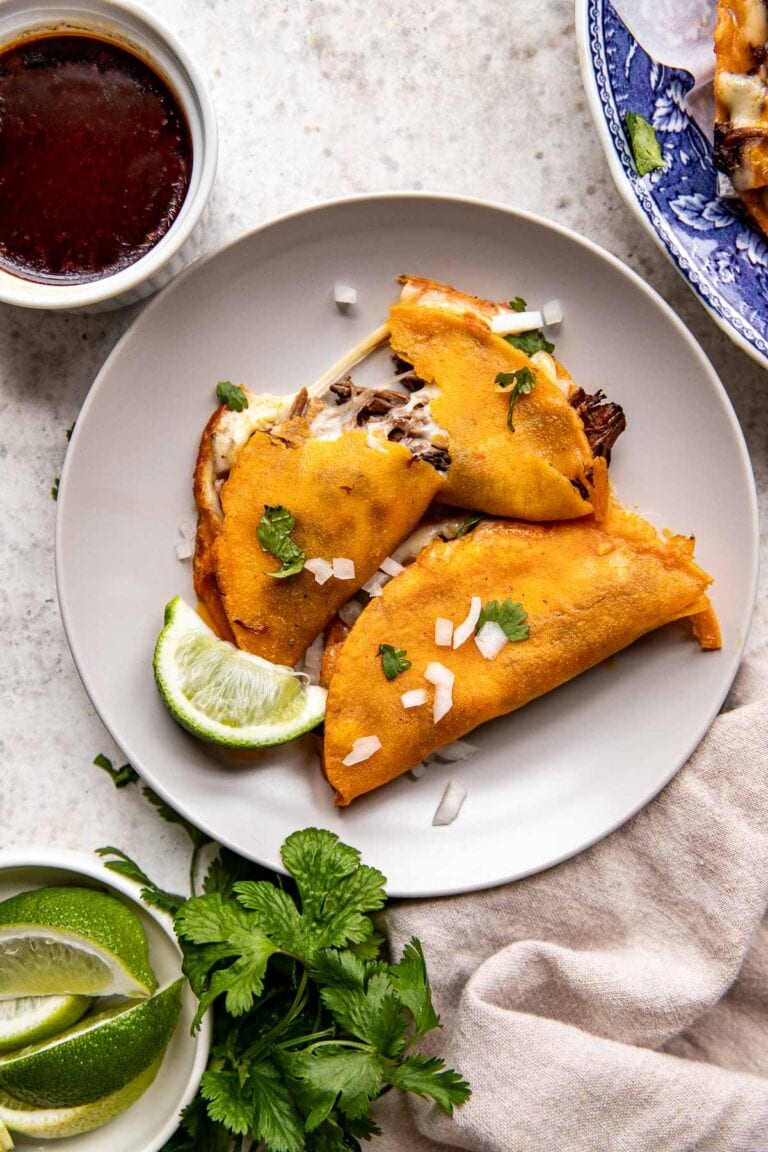 Birria de Res (Tender Braised Beef Birria) - Well Seasoned Studio