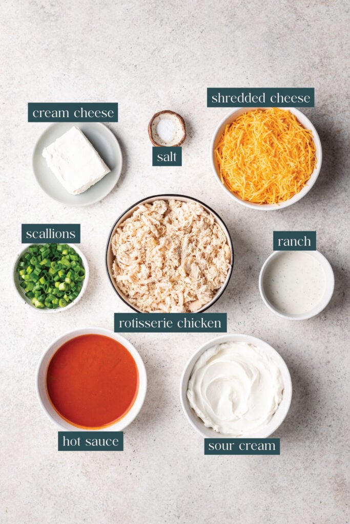 How To Make Buffalo Chicken Dip - Well Seasoned Studio