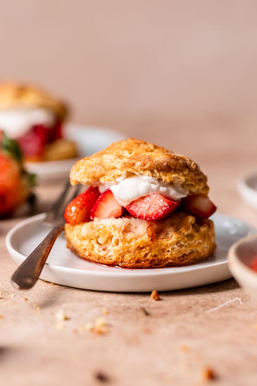 Classic Strawberry Shortcakes with Whipped Cream - Well Seasoned Studio