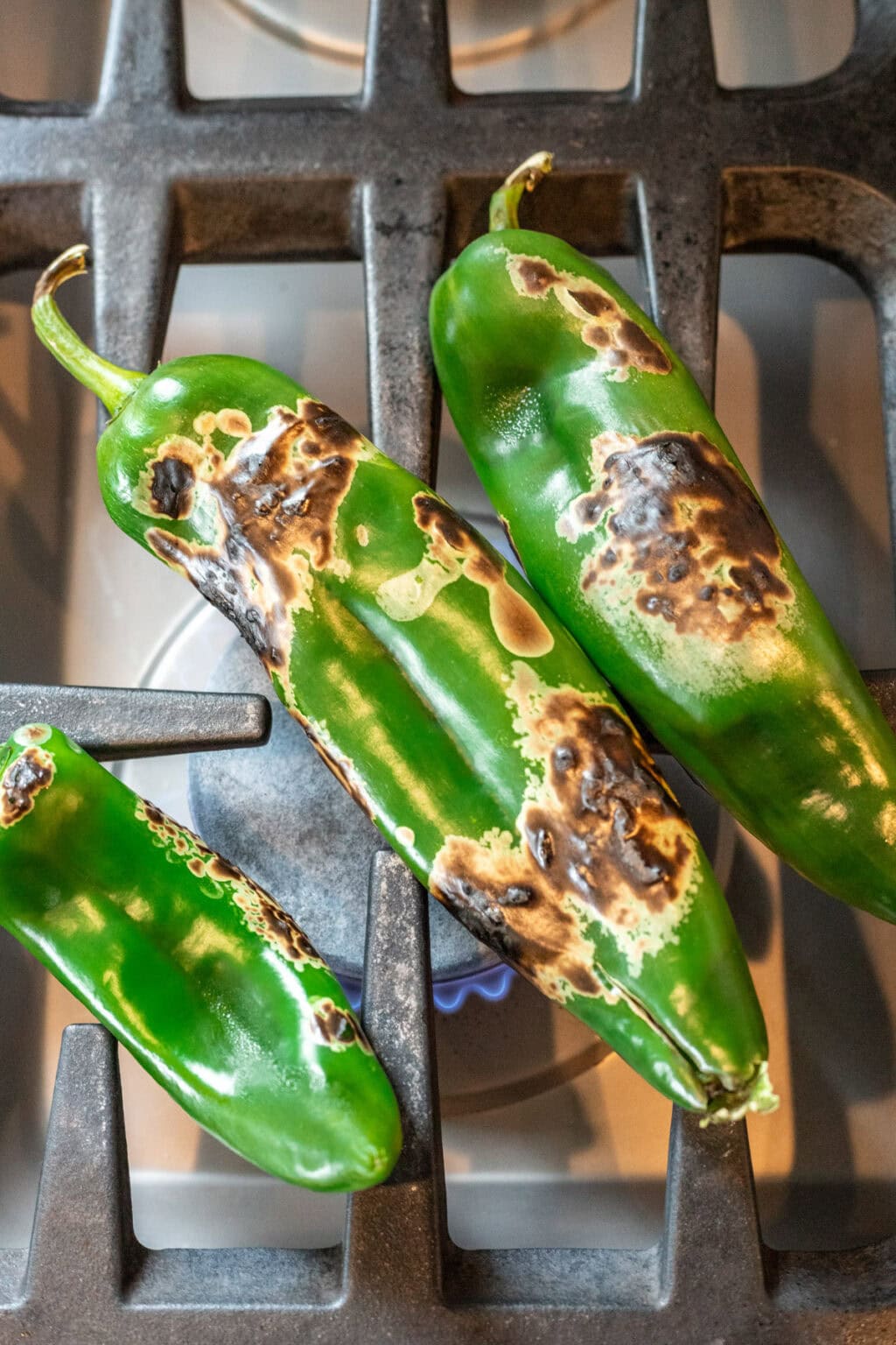 6-Ingredient Poblano Crema (For Tacos & Salads!) - Well Seasoned Studio