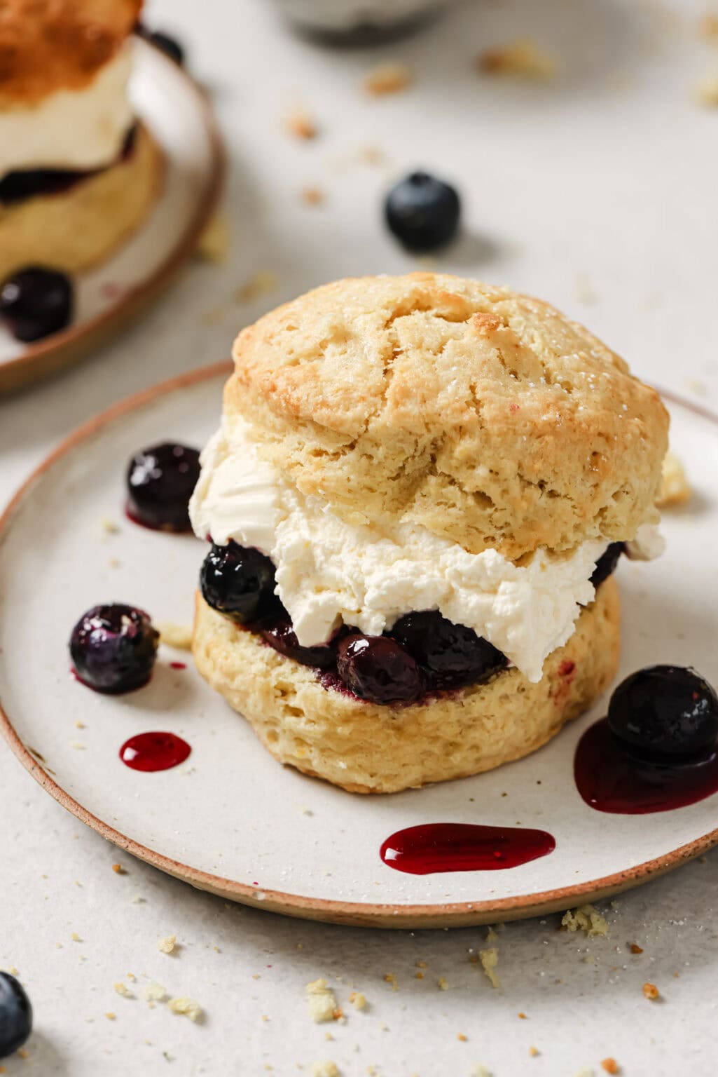 Blueberry Shortcakes (with Fresh or Frozen Blueberries!) - Well ...