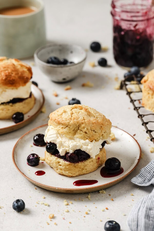 Blueberry Shortcakes (with Fresh or Frozen Blueberries!) - Well ...