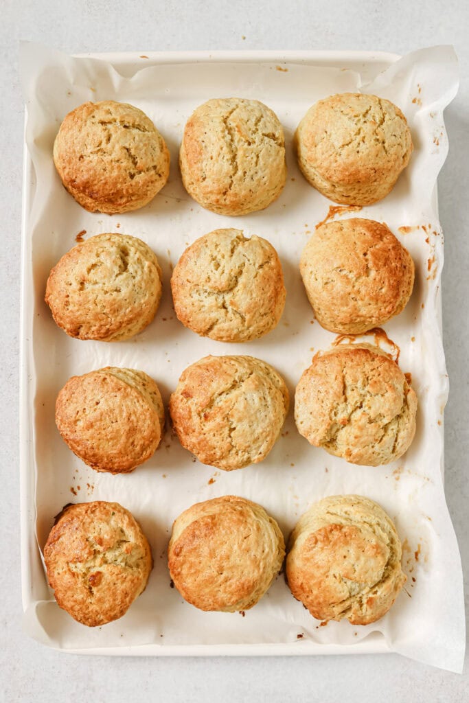 Blueberry Shortcakes (with Fresh or Frozen Blueberries!) - Well ...