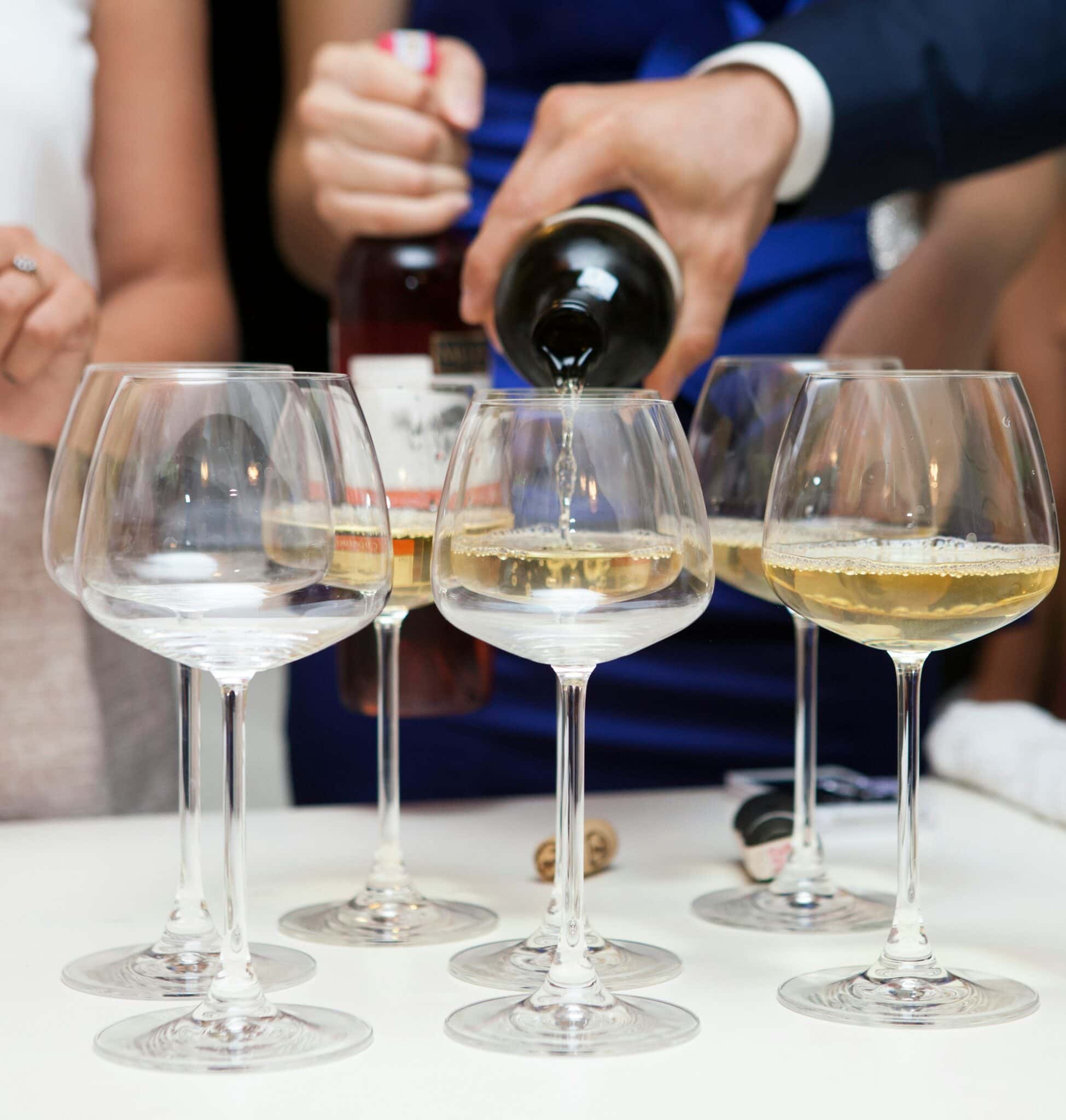 The Comprehensive Guide to Pinot Grigio - Well Seasoned Studio