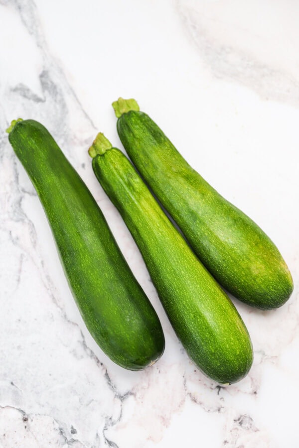 Crispy Fried Zucchini with Homemade Marinara - Well Seasoned Studio