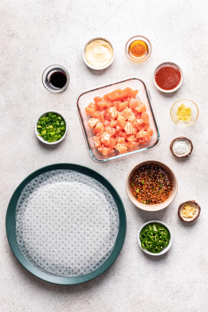 Crispy Rice Paper Roll-Ups with Salmon - Well Seasoned Studio