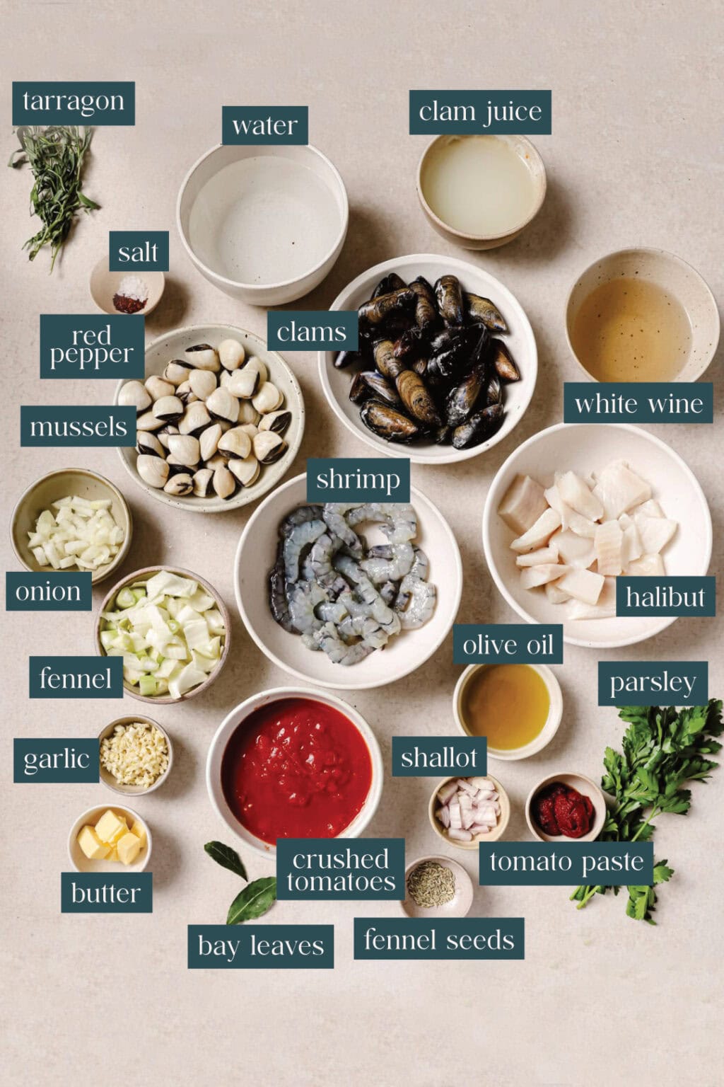 Classic San Francisco Cioppino - Well Seasoned Studio