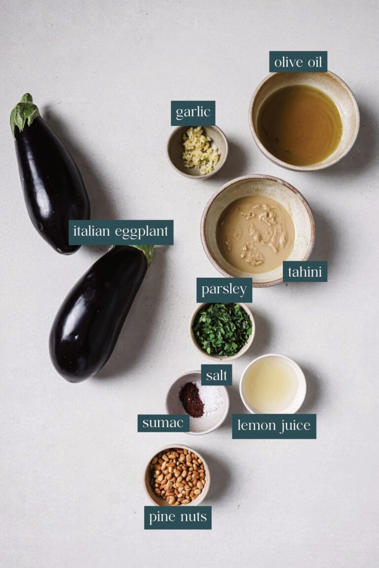 Easy Baba Ganoush In 1 Hour - Well Seasoned Studio
