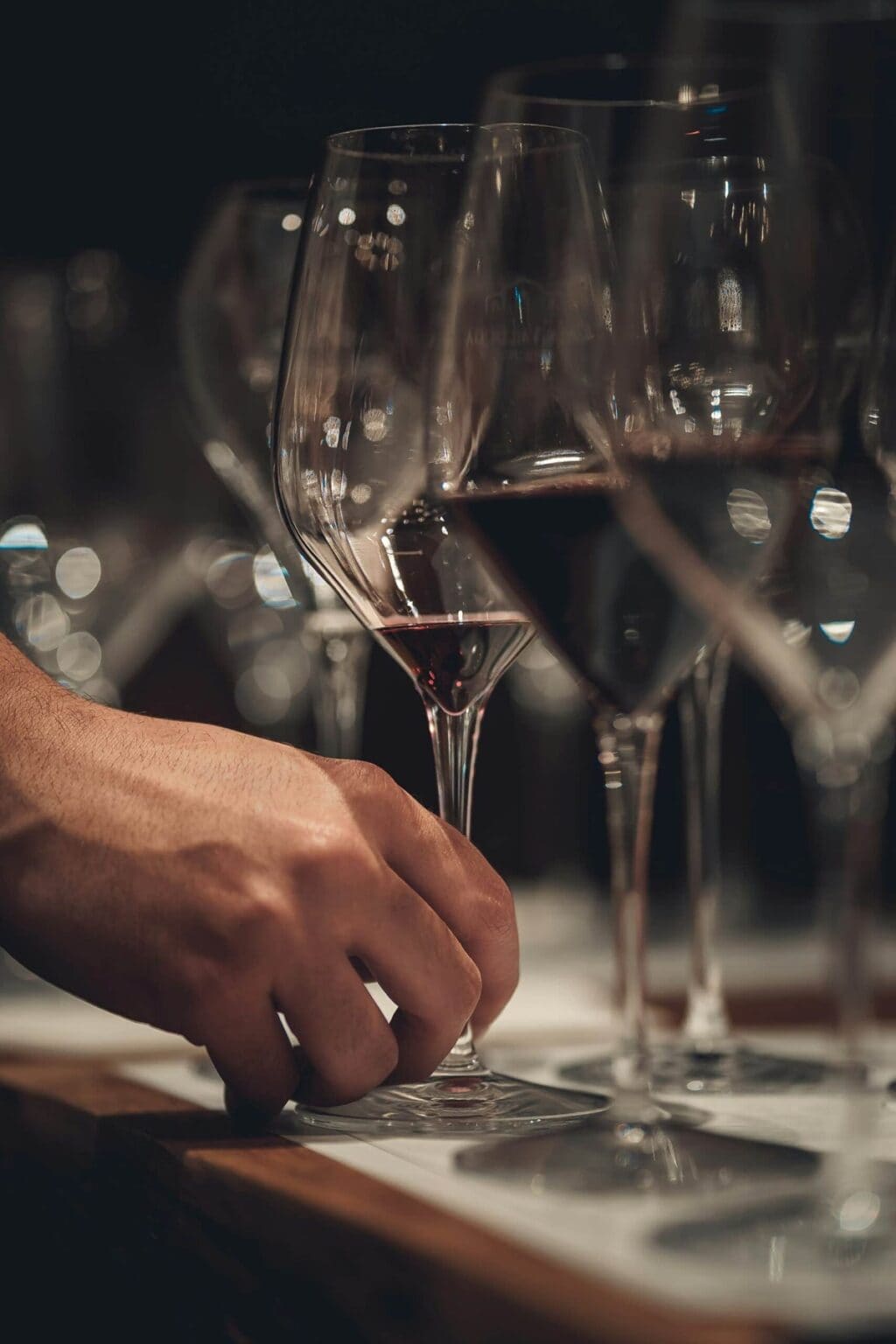 The Comprehensive Guide to Cabernet Sauvignon - Well Seasoned Studio