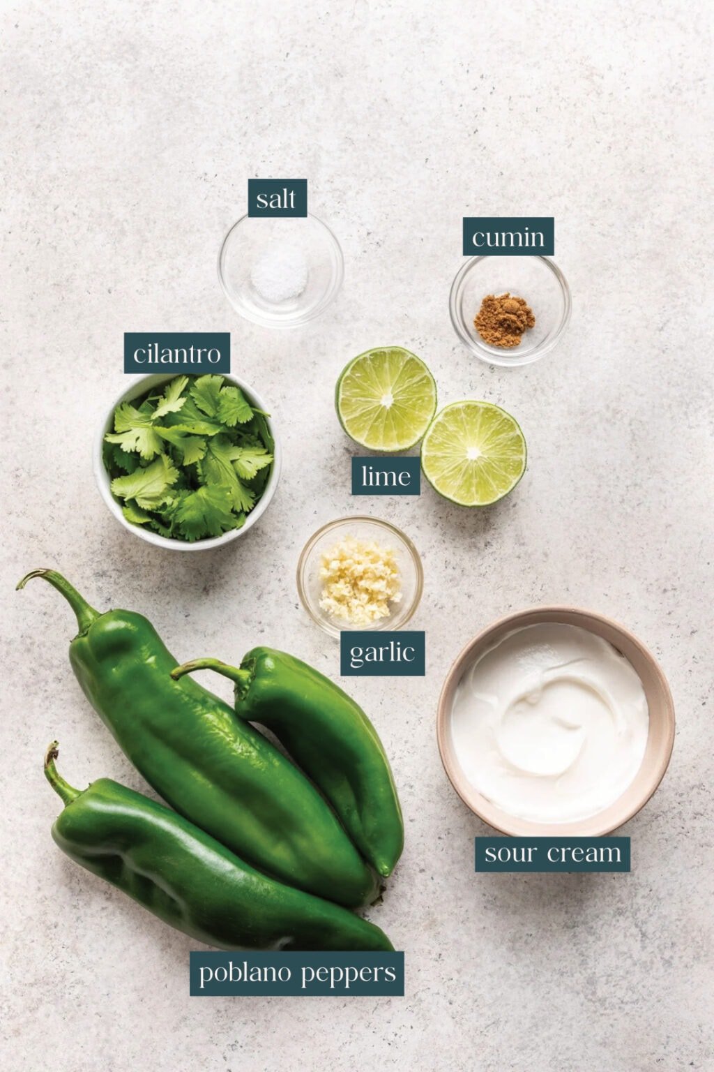 6-Ingredient Poblano Crema (For Tacos & Salads!) - Well Seasoned Studio