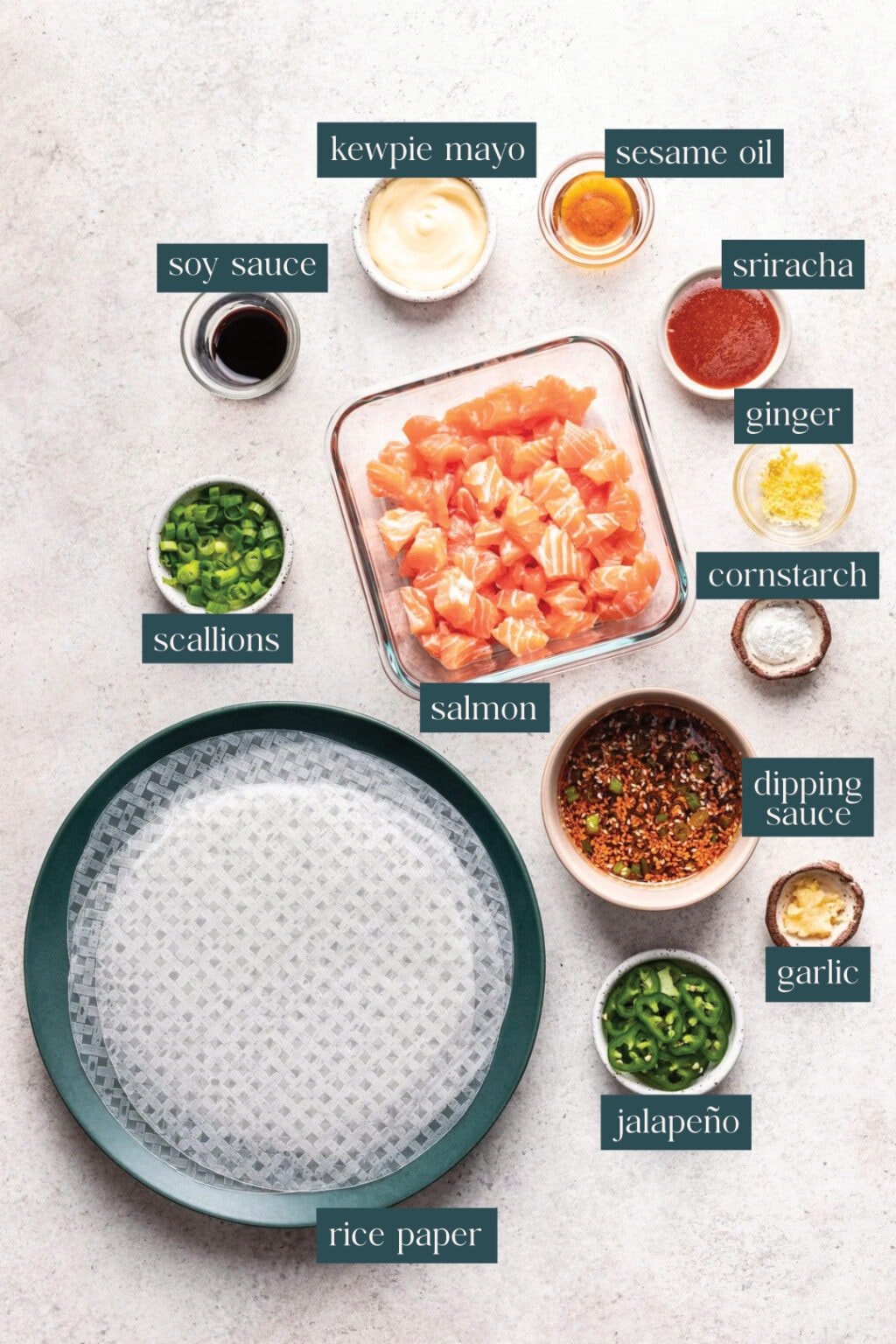 Crispy Rice Paper Roll-Ups with Salmon - Well Seasoned Studio