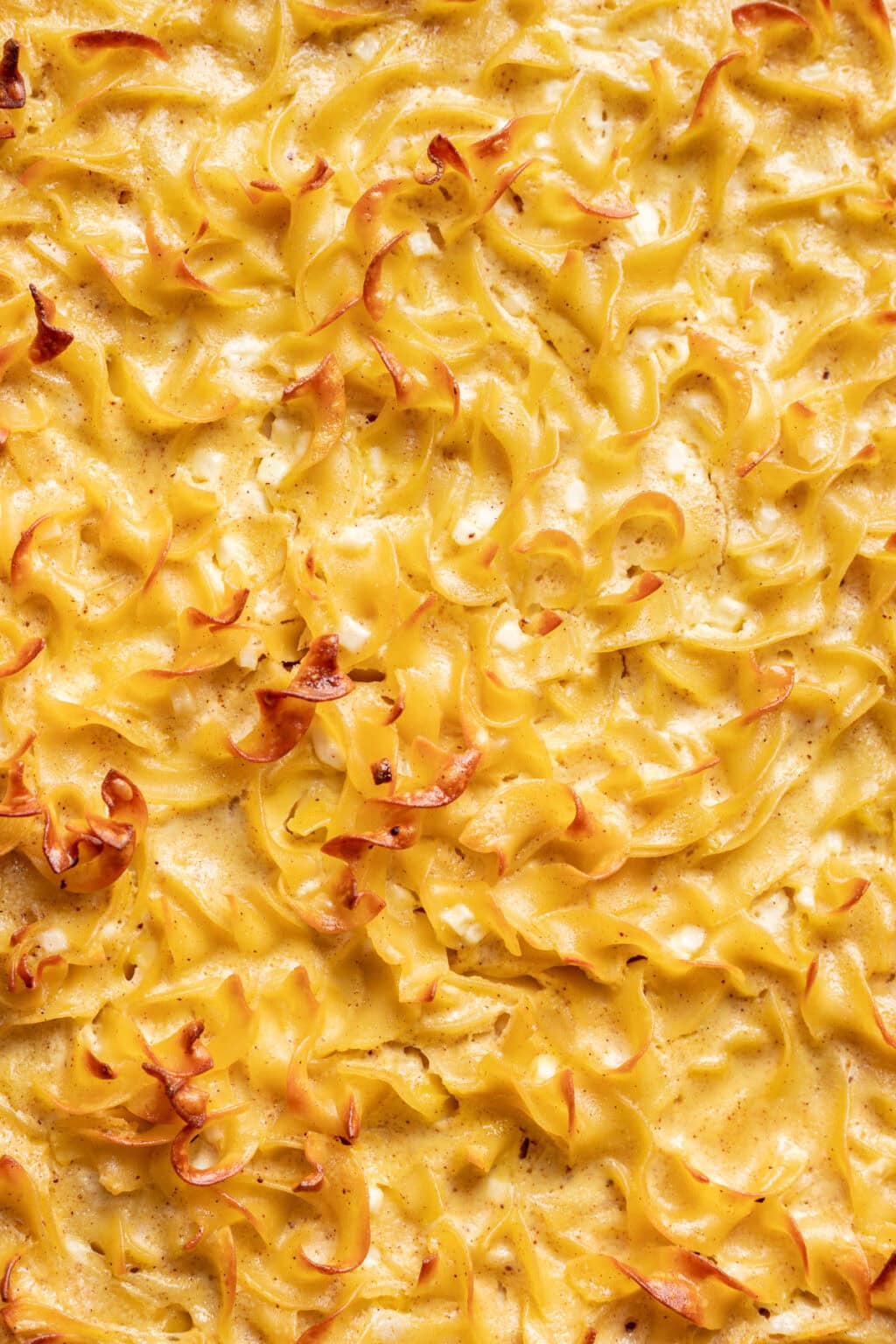 Perfect Noodle Kugel with Cottage Cheese - Well Seasoned Studio