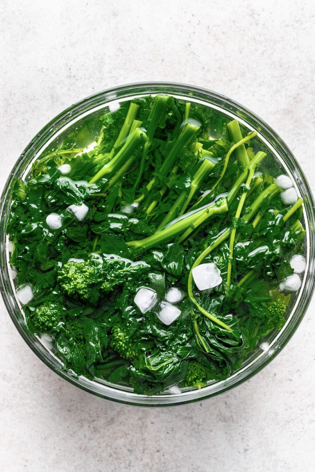 Make-Ahead Broccoli Rabe Salad with Mozzarella - Well Seasoned Studio
