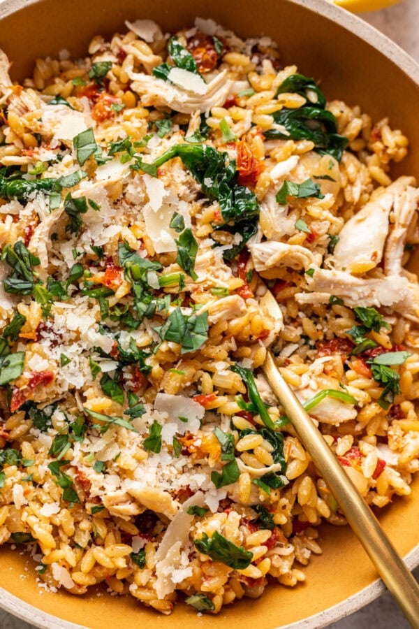 Creamy One-Pot Orzo with Chicken & Sun-Dried Tomatoes - Well Seasoned ...