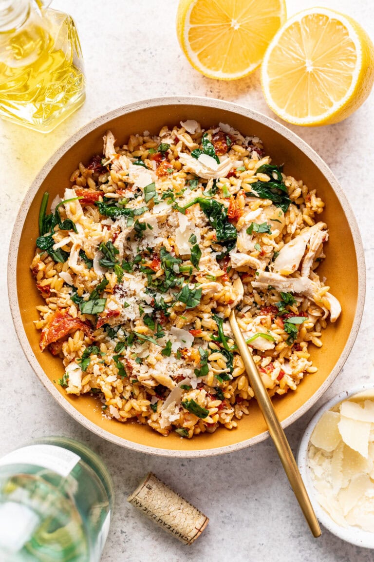 Creamy One-Pot Orzo with Chicken & Sun-Dried Tomatoes - Well Seasoned ...