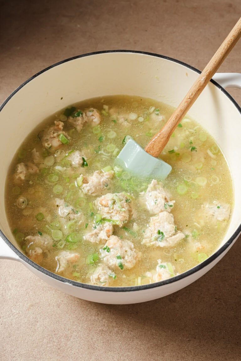 Deconstructed Wonton Soup with Chicken & Shrimp Filling - Well Seasoned ...