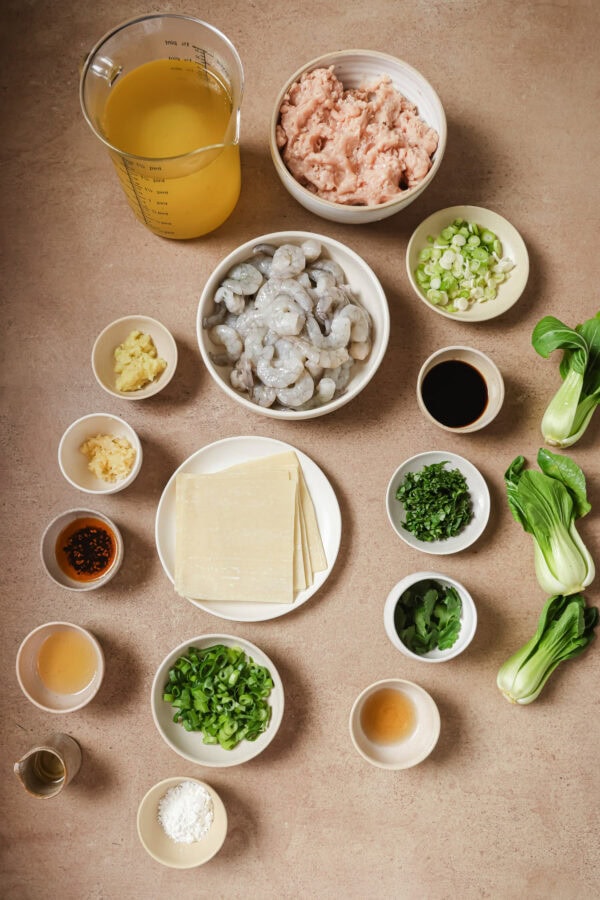 Deconstructed Wonton Soup with Chicken & Shrimp Filling - Well Seasoned ...