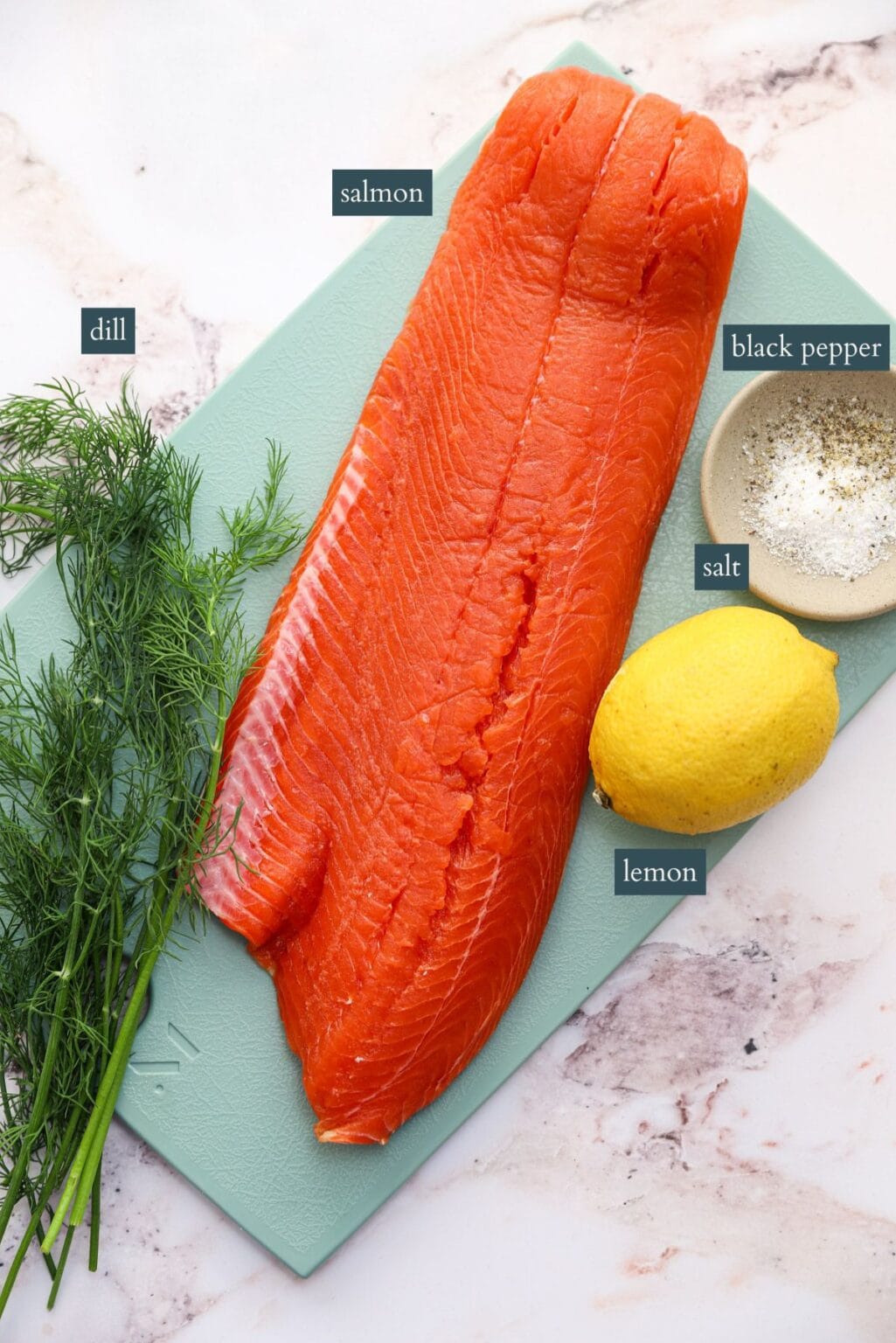 Flaky Oven-Baked Salmon with Lemon & Dill - Well Seasoned Studio