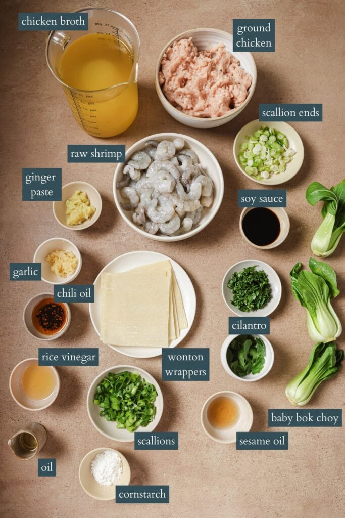 Deconstructed Wonton Soup with Chicken & Shrimp Filling - Well Seasoned ...