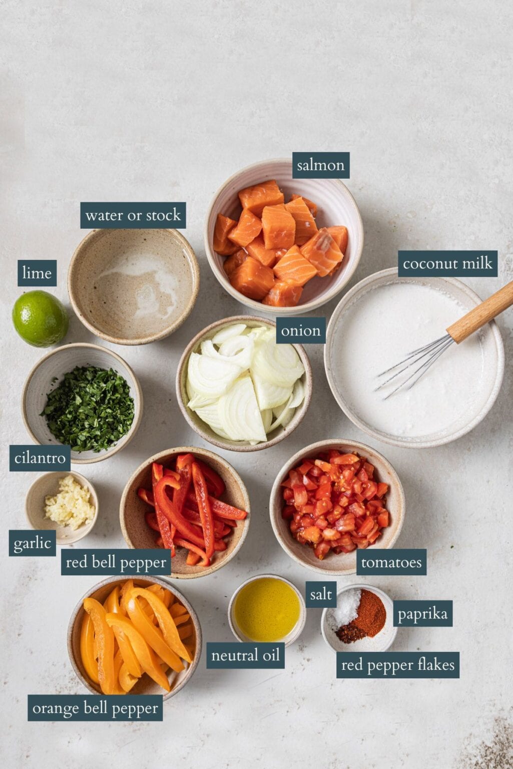 30-Minute Salmon Stew with Creamy Coconut Milk - Well Seasoned Studio
