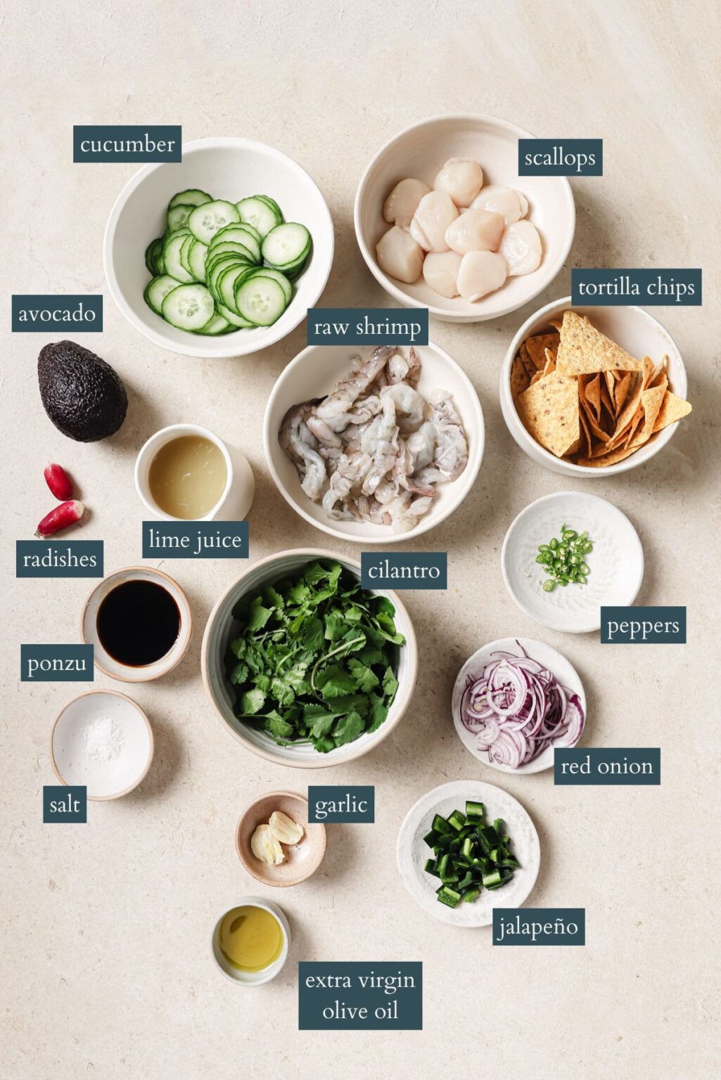 Spicy Shrimp & Scallop Aguachile (Ceviche) - Well Seasoned Studio