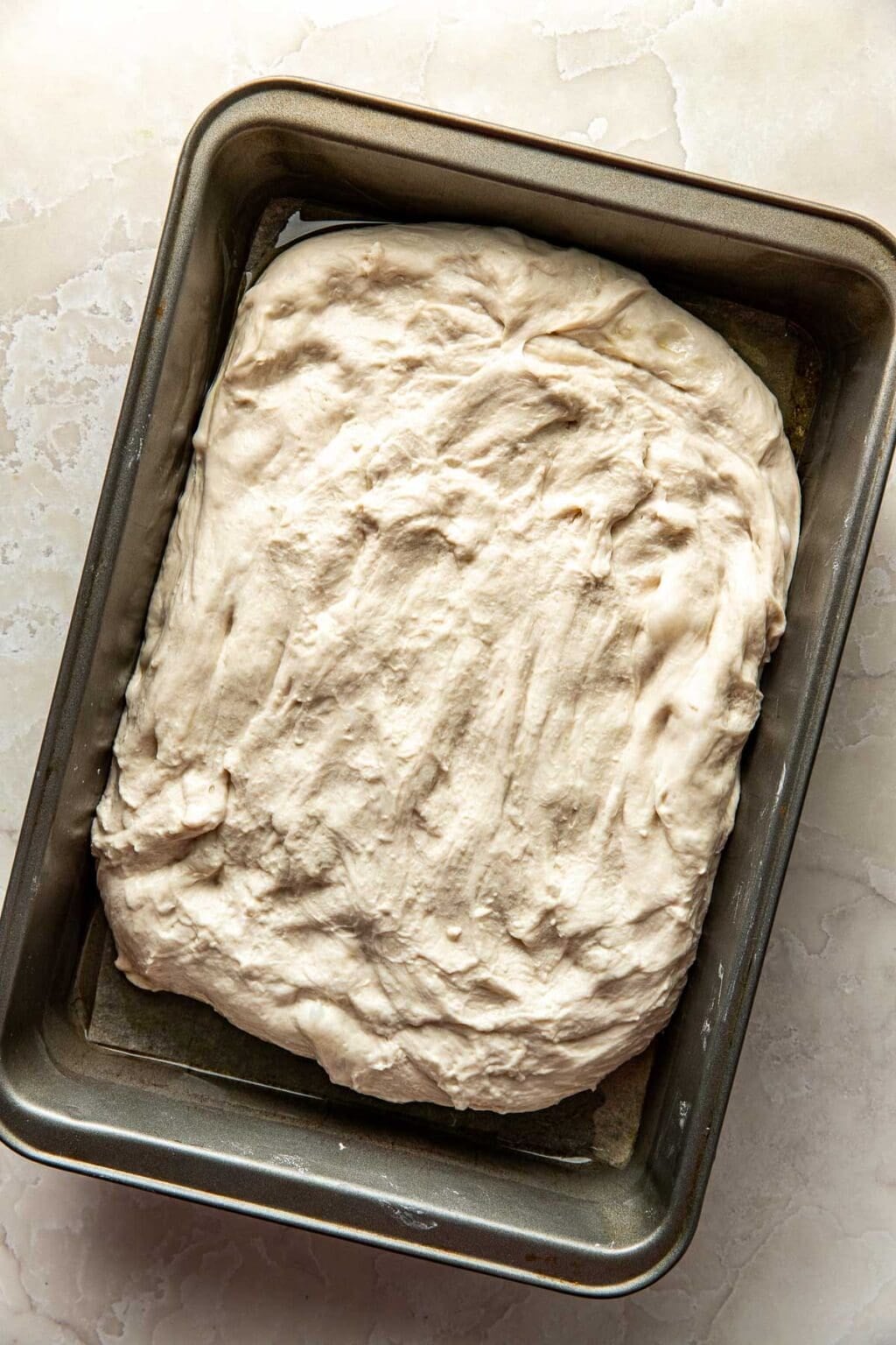 Homemade Schiacciata Bread (for Italian Sandwiches!) - Well Seasoned Studio