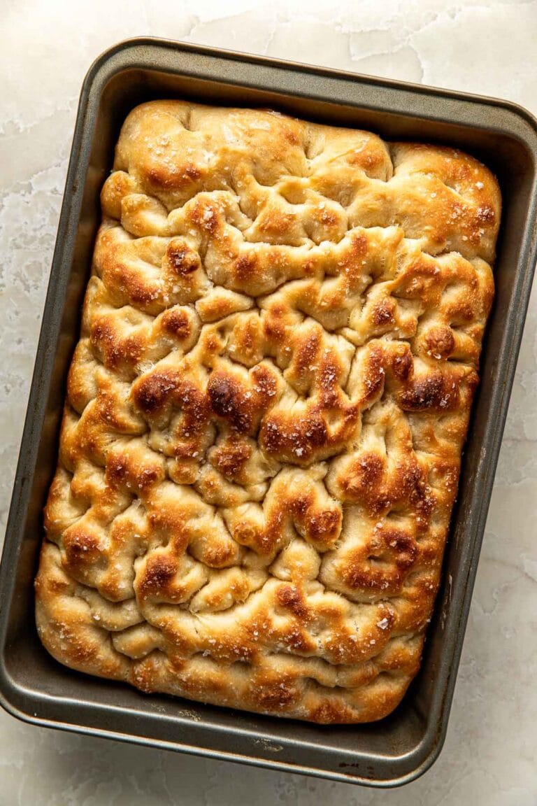 Homemade Schiacciata Bread (for Italian Sandwiches!) - Well Seasoned Studio